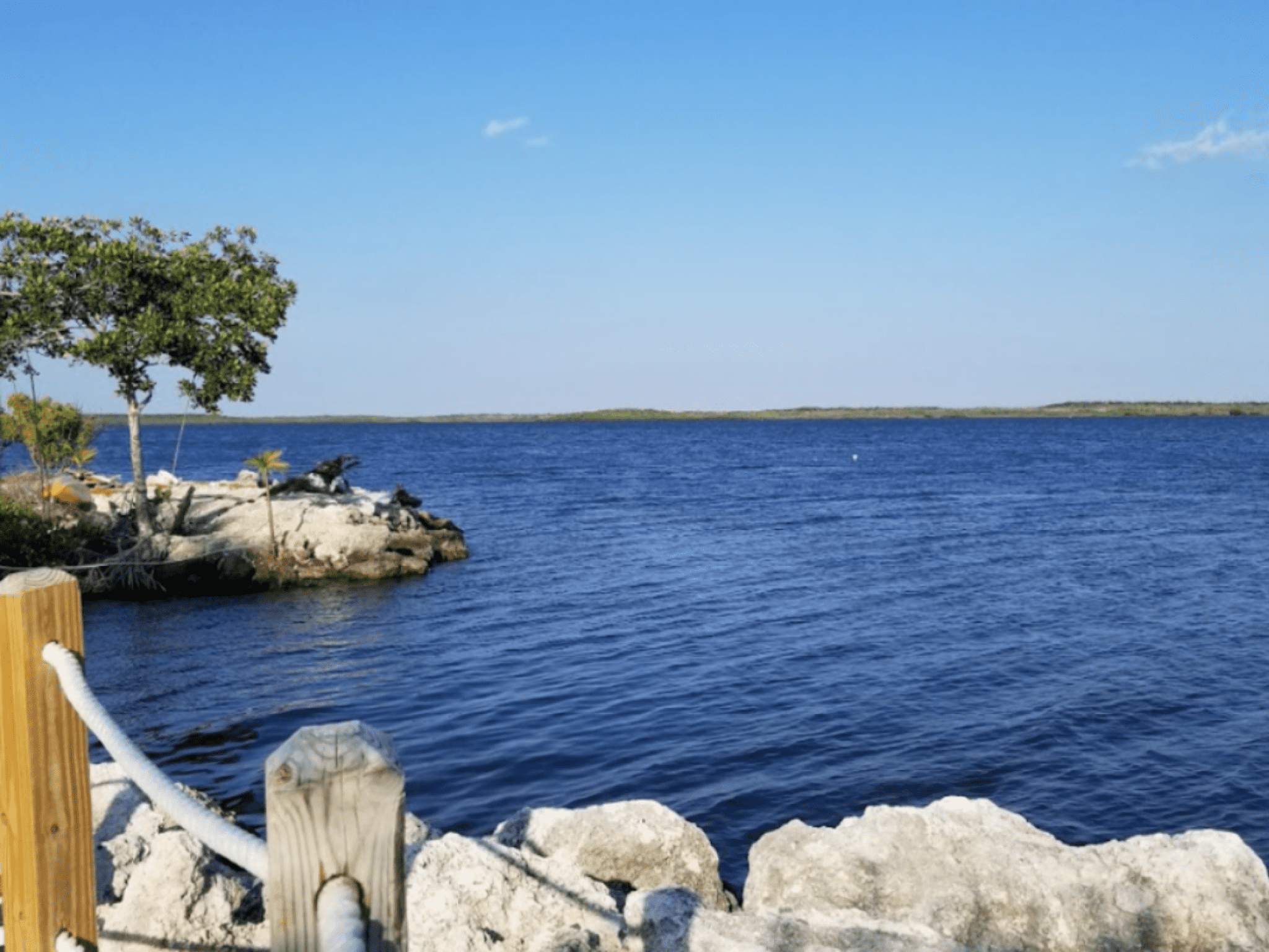14 Best Unique Places to Stay in Florida (2023) - Sandra Campillo