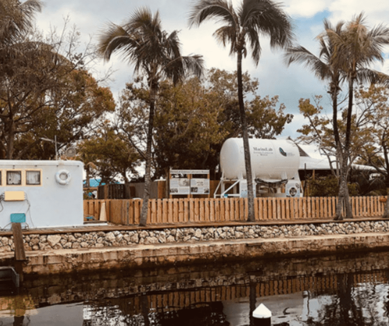 14 Best Unique Places to Stay in Florida (2023) - Sandra Campillo