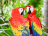 The Perfect Cancun 7 Days Itinerary: 23 Best Things to Do - Sandra Campillo