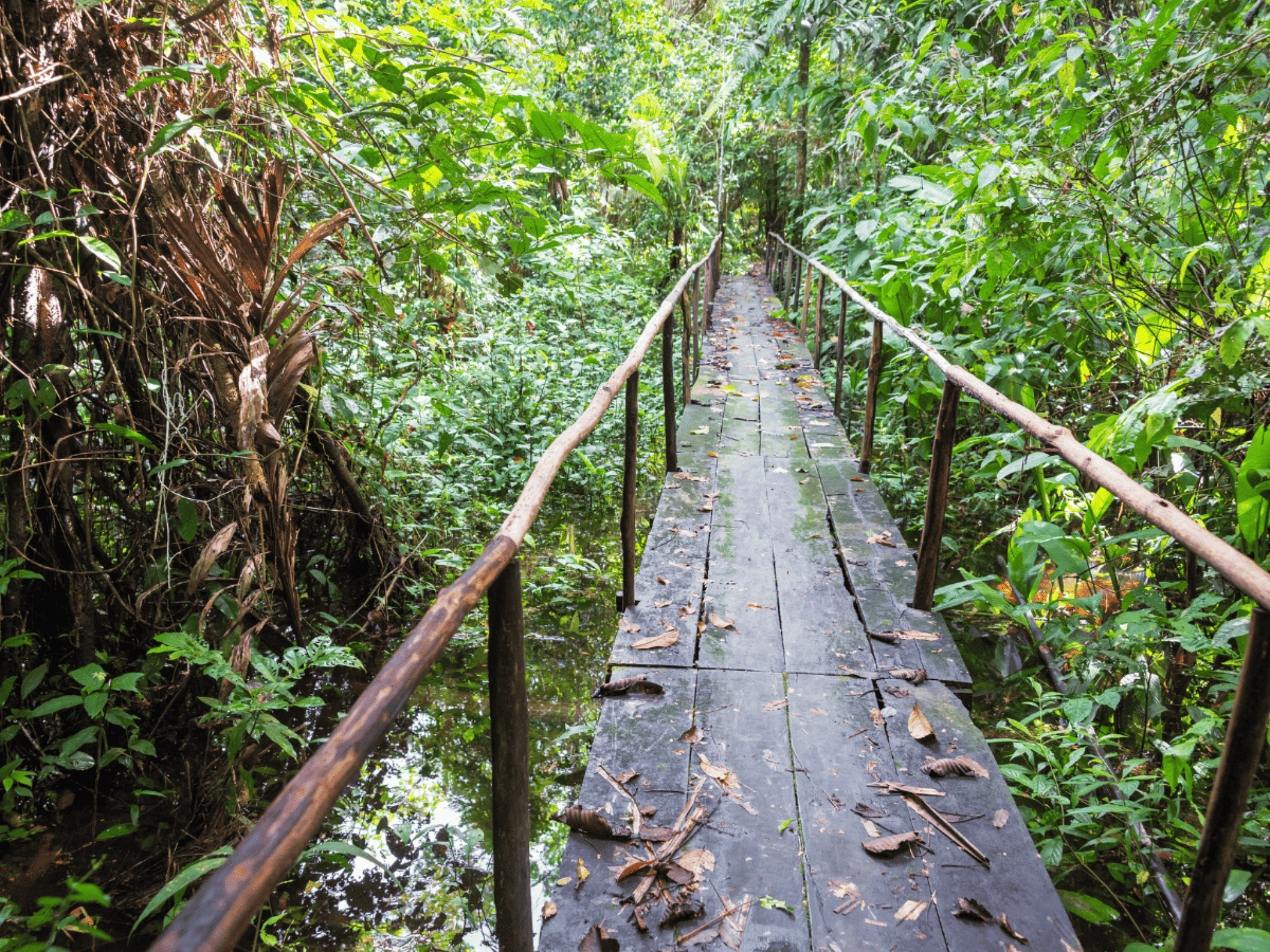 Best Ayahuasca Retreat in Peru: Traditional Retreats - Sandra Campillo