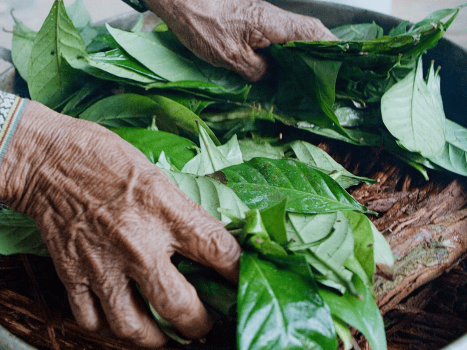 Best Ayahuasca Retreat in Peru: Traditional Retreats - Sandra Campillo