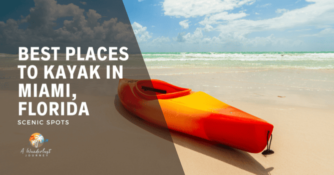 Best Places to Kayak in Miami, Florida: Scenic Spots - Sandra Campillo
