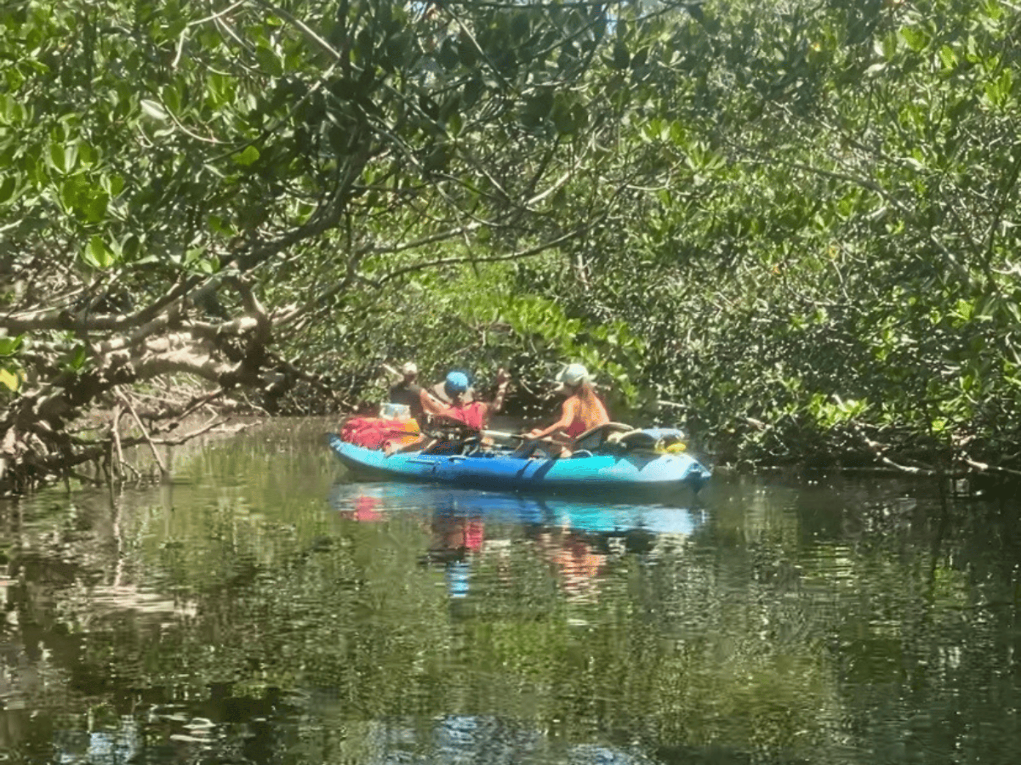 Best Places to Kayak in Miami, Florida: Scenic Spots - Sandra Campillo