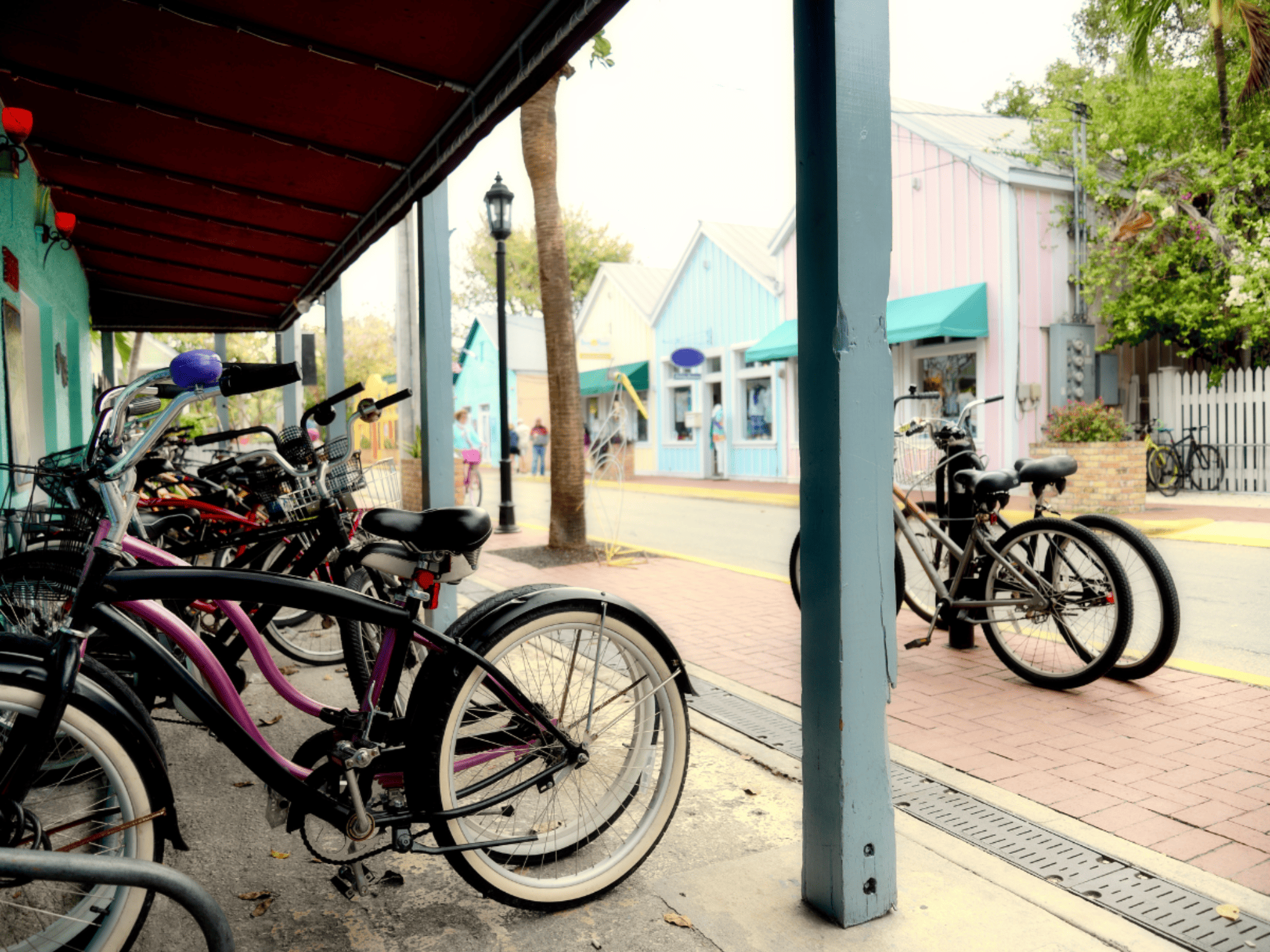 14 Best Things to Do When You Visit Key West in August - Sandra Campillo