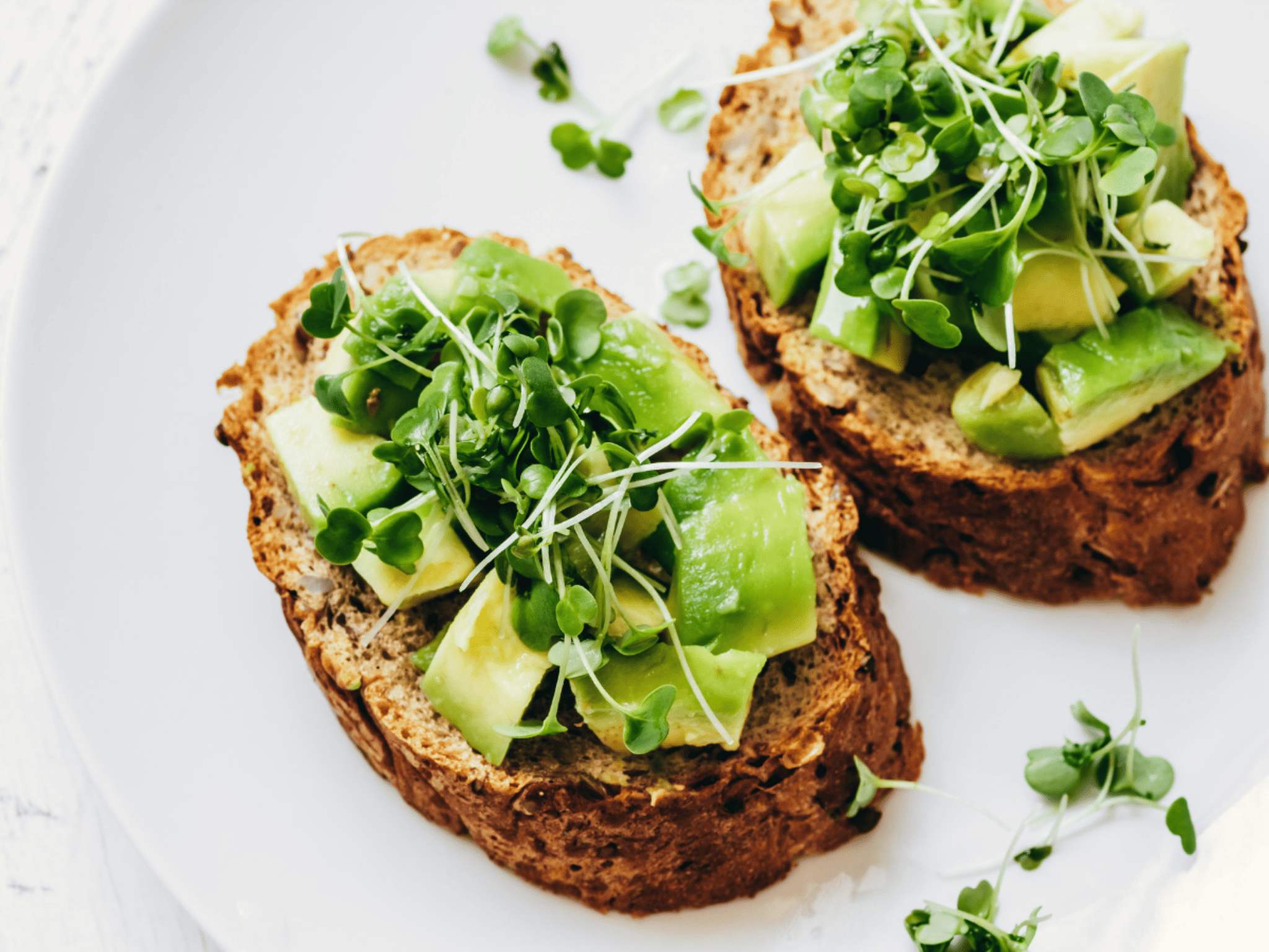 How to Grow Hydroponic Microgreens: Complete Guide - Sandra Campillo