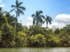 Belize Ecotourism: The Ultimate Guide to Sustainable Travel - Sandra ...